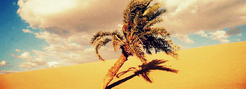 The Healing Power of Tarfa: Egypt’s First 'Holistic Photography Course ...