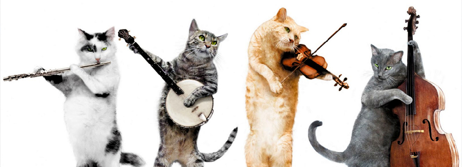 Cat-chy Tunes: Music Scientifically Designed for Cats