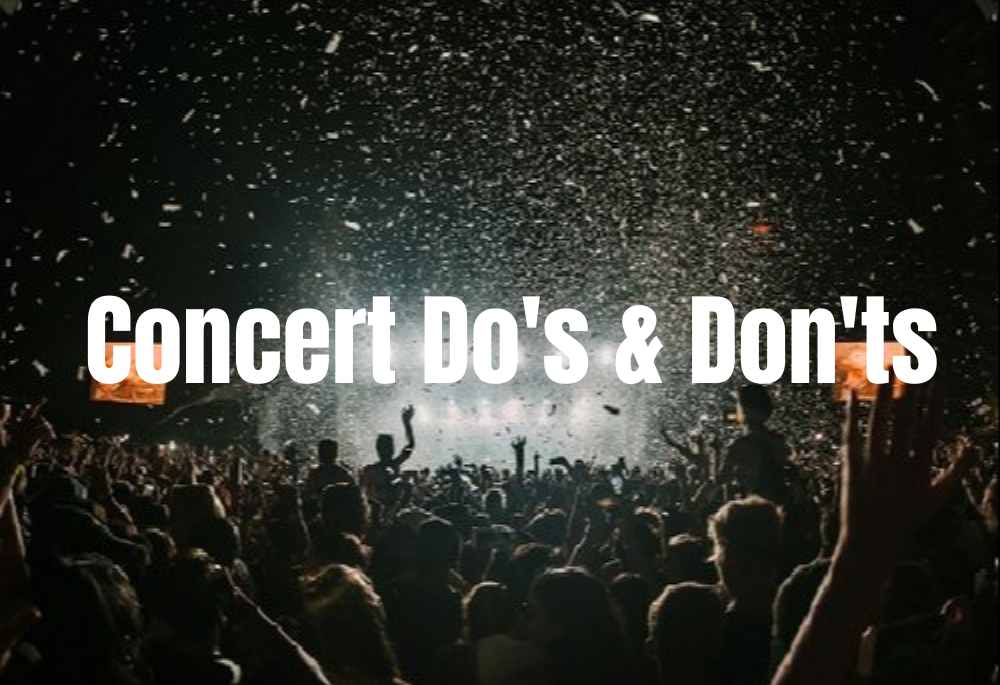 4 Concerts Do’s and 4 Don’ts That Every Party Goer Should Know! - Cairo ...