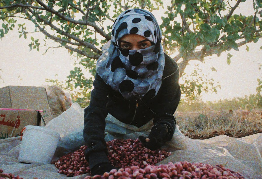 Molotof’s New Album “Soot El Share3” is Out Now for You to Check Out